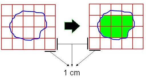 Menghitung Luas Wilayah Pada Peta Menggunakan Metode Grid/Kotak – Guru ...