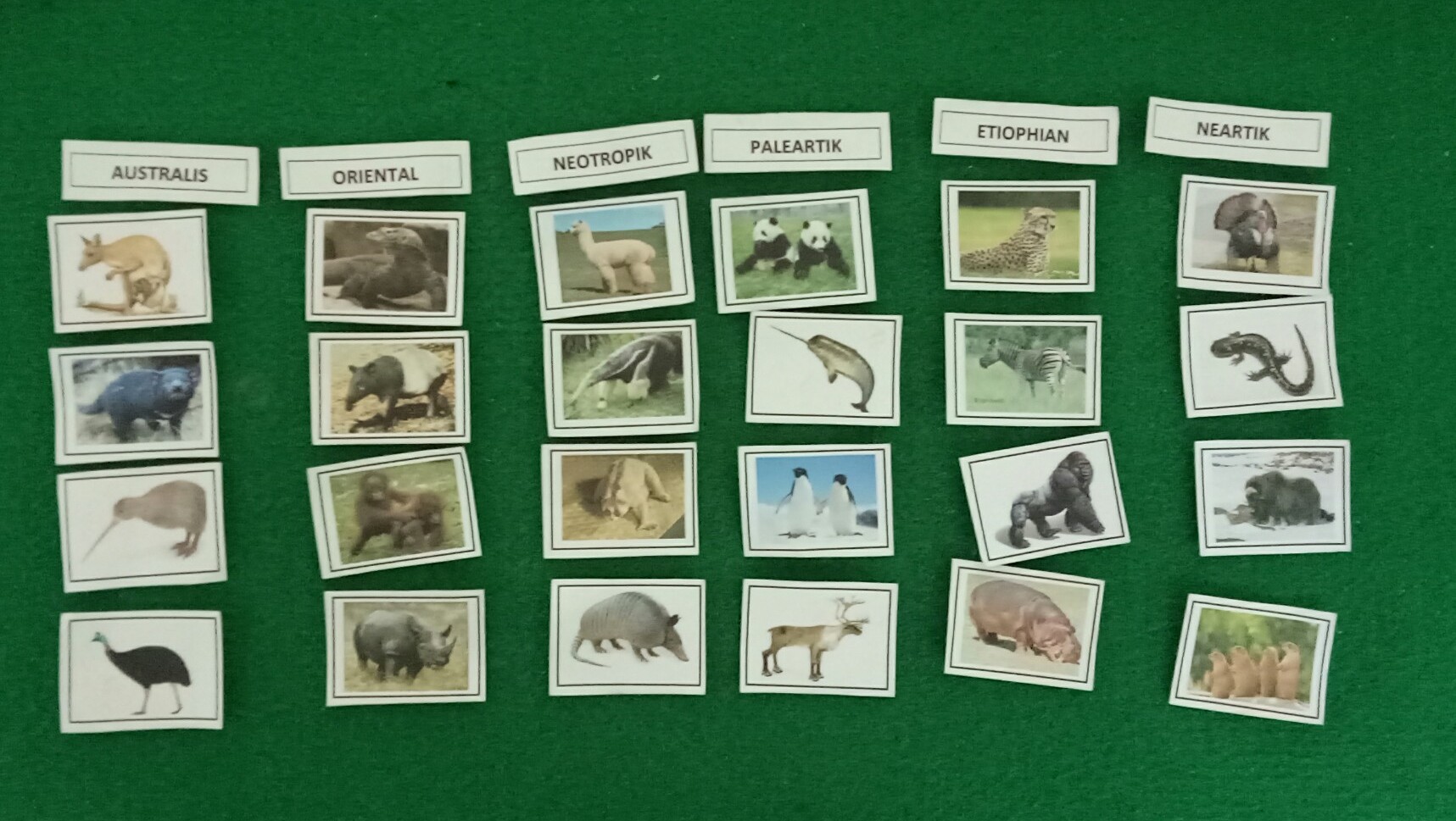 Model Pembelajaran Cardsort Dengan Teknik Turnamen – Guru Geografi MAN ...