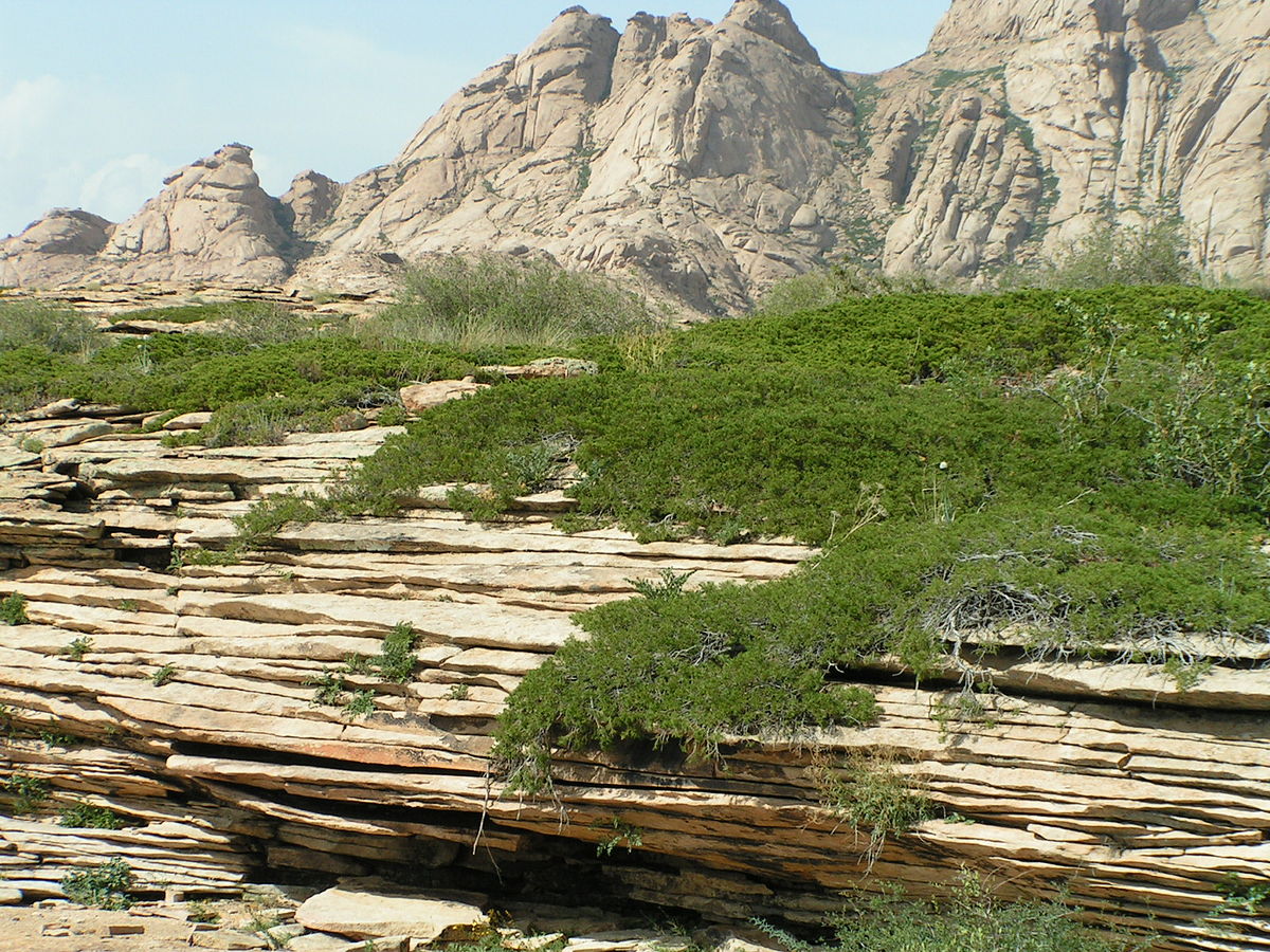 Tenaga Endogen – Tektonisme – Kekar (Joint) – Guru Geografi MAN 1 ...