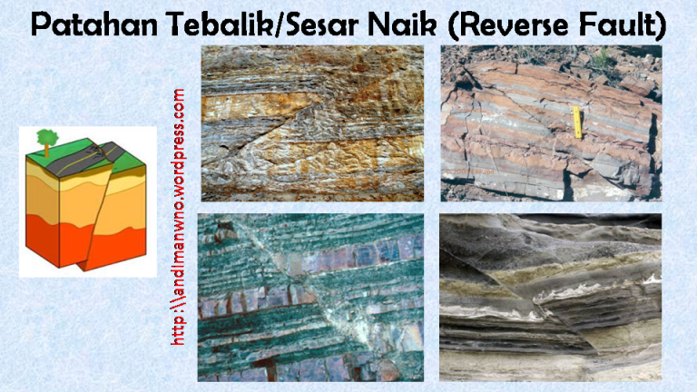 Tenaga Endogen – Tektonisme – Patahan (Faulted) – Guru Geografi MAN 1 ...