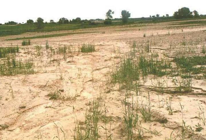 Tenaga Eksogen – Erosi 3 – Bentuk-bentuk Erosi Air – Guru Geografi MAN ...