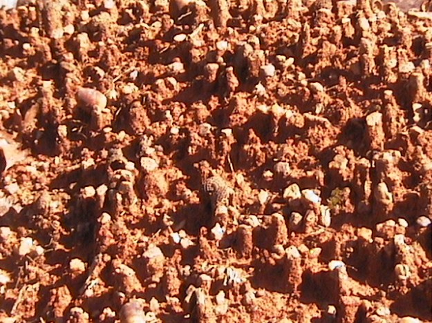 Tenaga Eksogen – Erosi 3 – Bentuk-bentuk Erosi Air | Guru Geografi MAN ...