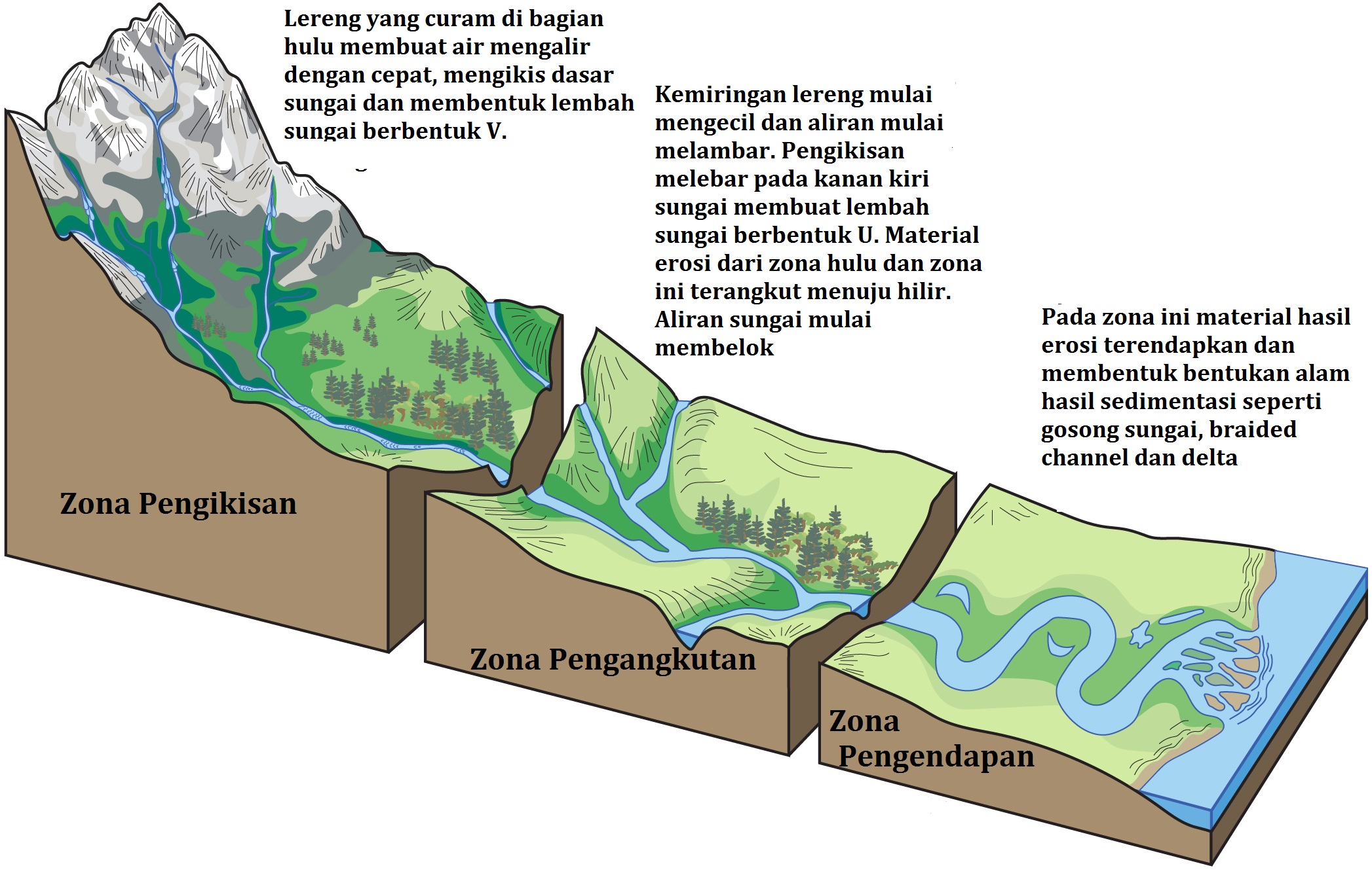 Tenaga Eksogen – Sedimentasi (Pengendapan) – Guru Geografi MAN 1 ...