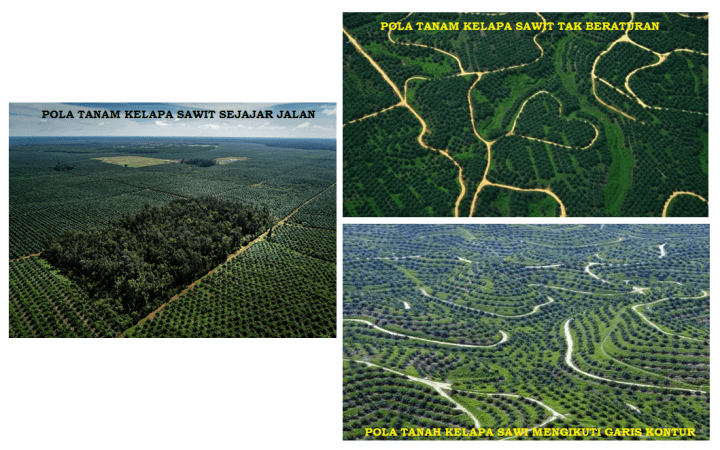Konsep Essensial Geografi – Konsep Pola – Guru Geografi MAN 1 ...