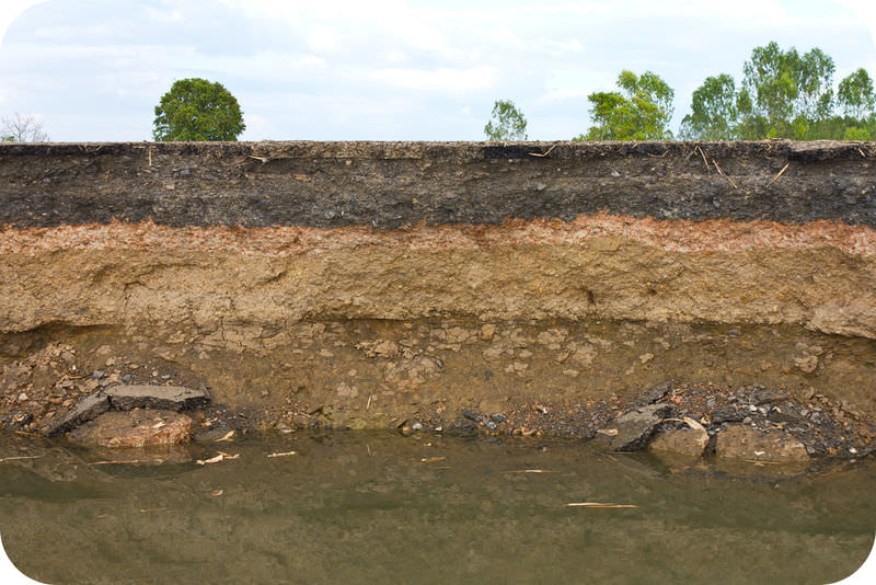 Horizon/Lapisan Tanah – Guru Geografi MAN 1 Gunungkidul DIY