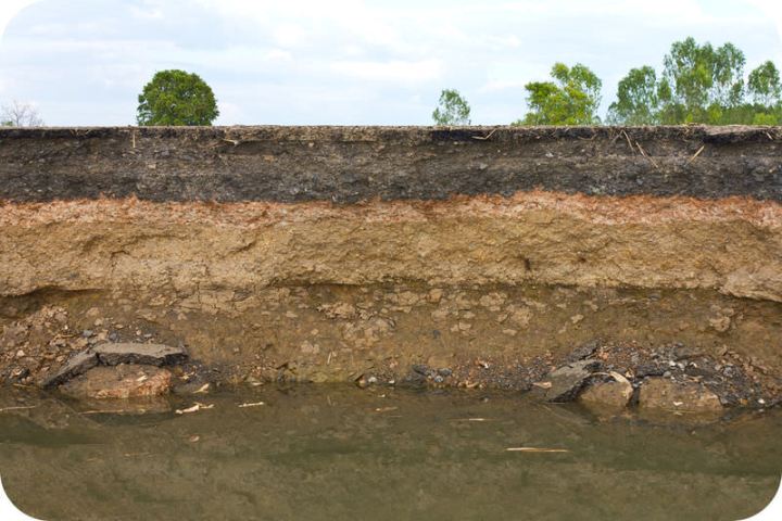 Horizon/Lapisan Tanah – Guru Geografi MAN 1 Gunungkidul DIY